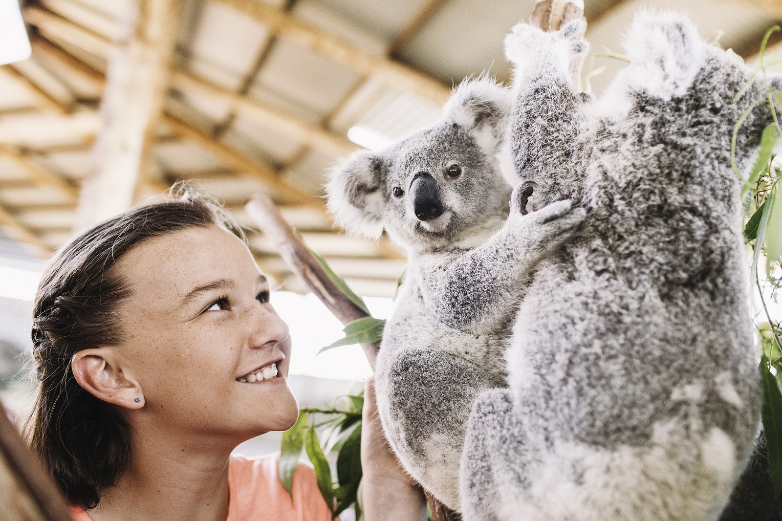 Oakvale Wildlife Park :: Port Stephens