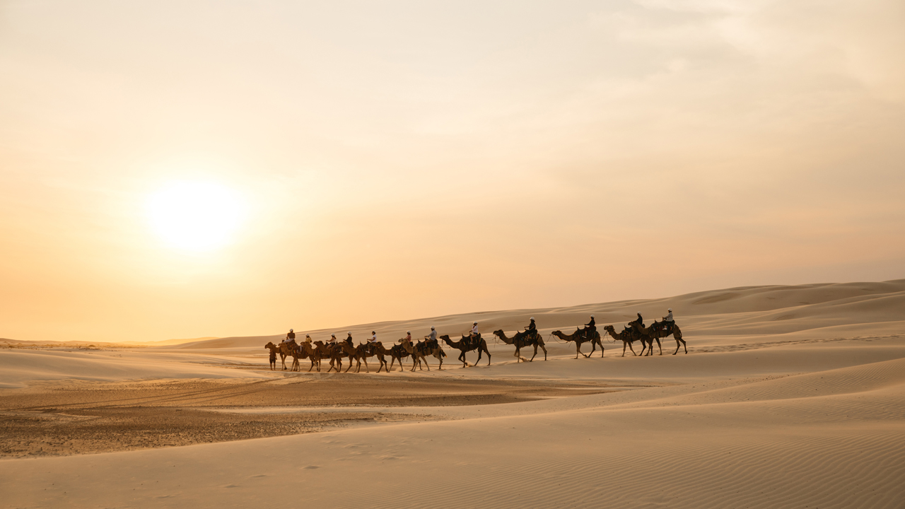 Anna Bay Neighbourhood :: Port Stephens