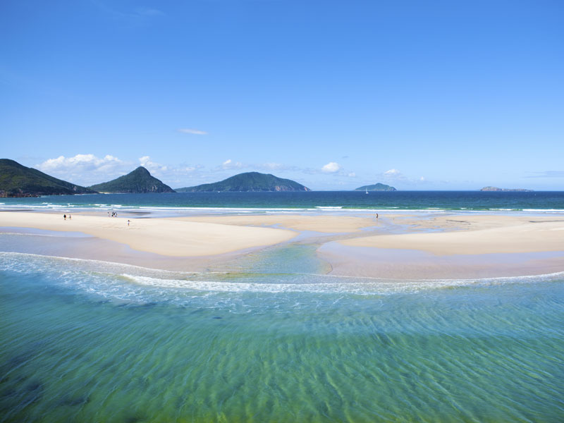 Where the forest meets the sea: A Nature Lover’s Paradise :: Port Stephens