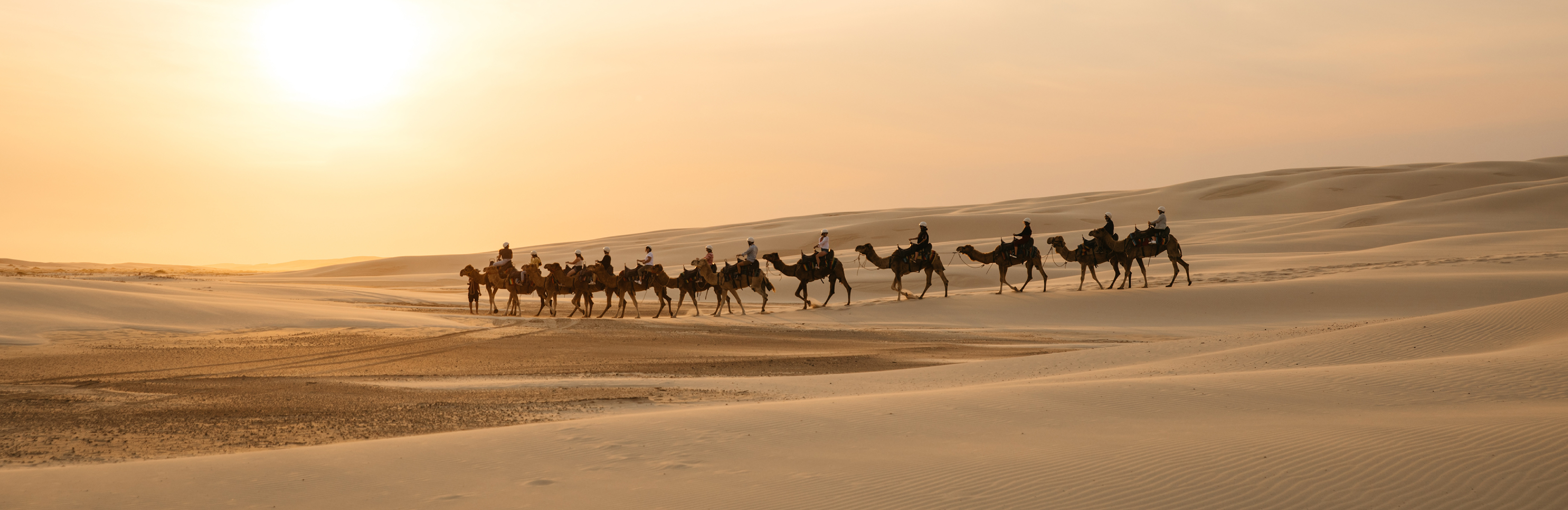 Things To See & Do | Destination Port Stephens