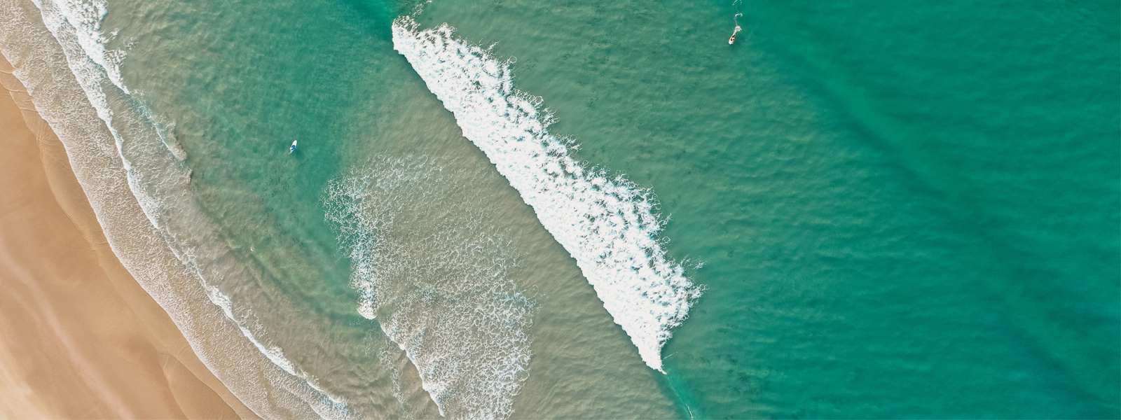 Sahara Trails Horse Riding :: Port Stephens