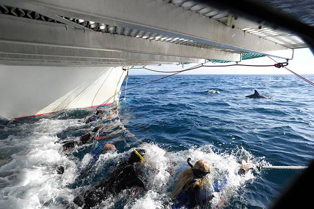 Top 5 For Adventure :: Port Stephens