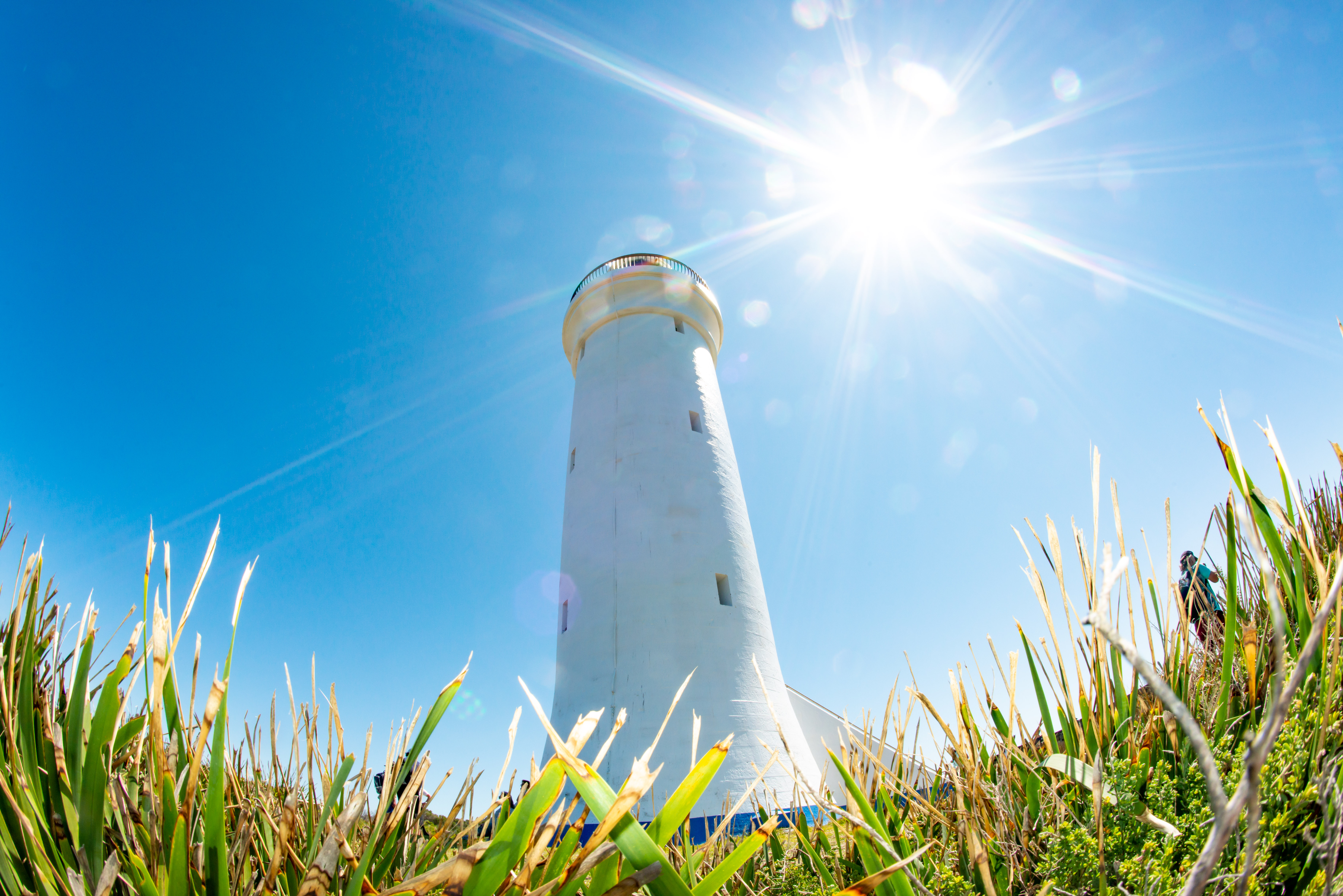 Fingal Island Eco-Walk & Lighthouse Tour with Aquamarine Adventures ...