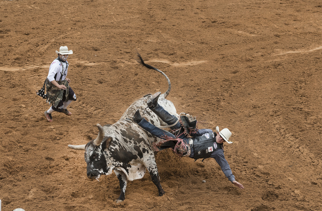 Bullarama 2019 I The Victoria Hotel, Hinton :: Port Stephens