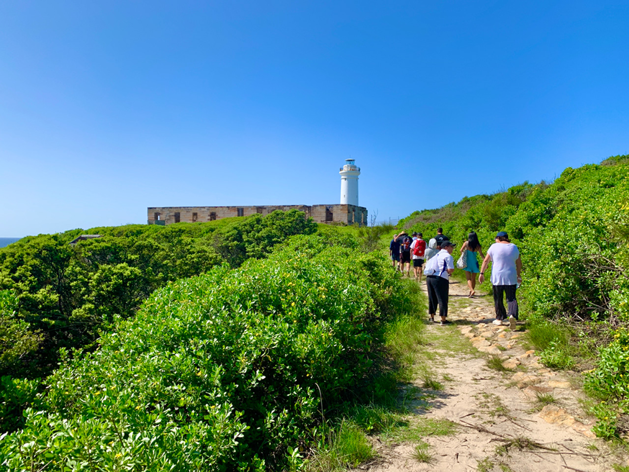 Moonshadow-TQC Cruises - Fingal Historical Lighthouse Tour :: Port Stephens