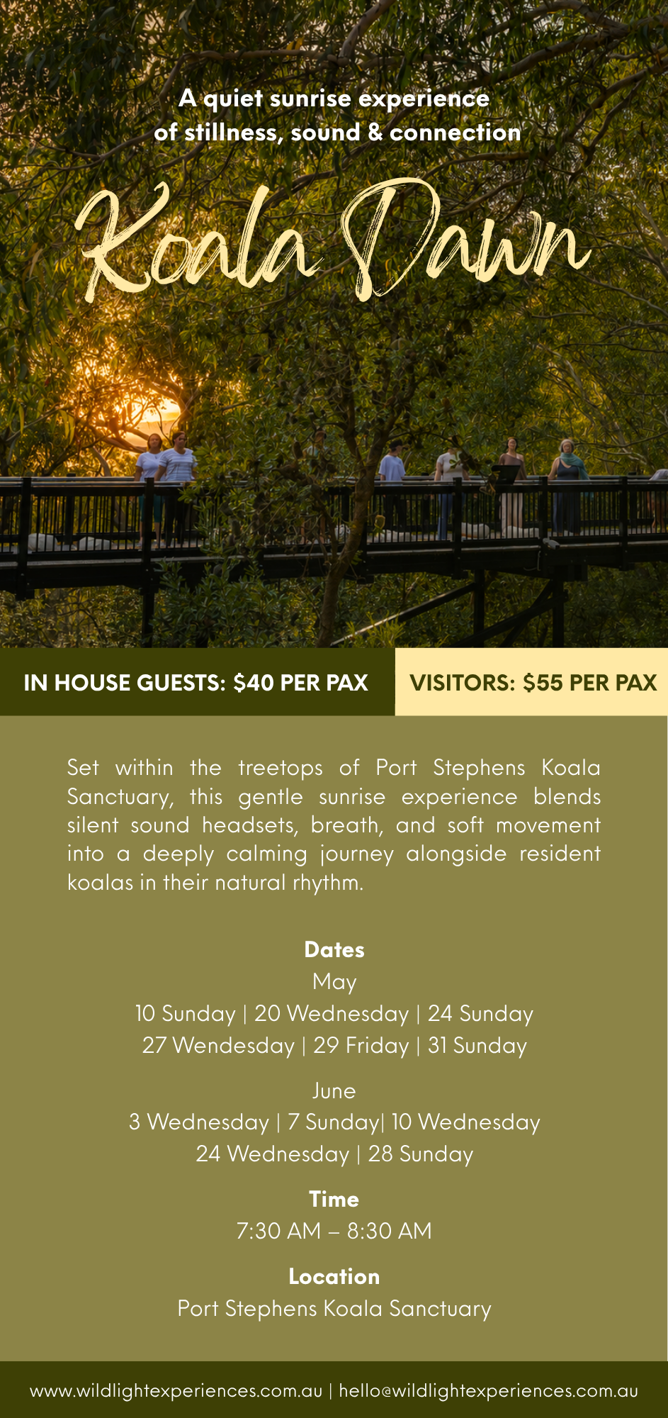 Wild Light Experiences "Koala Dawn" :: Port Stephens