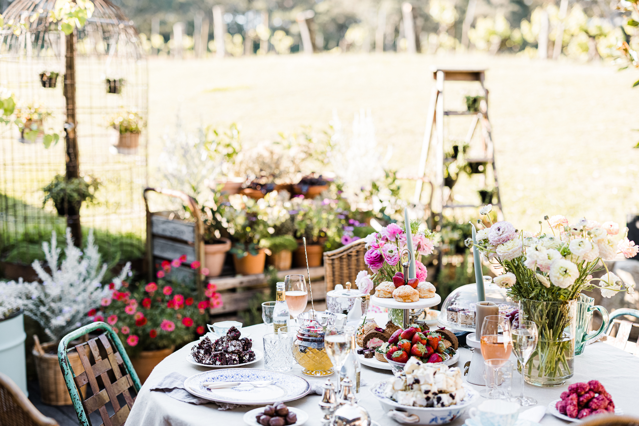 B Farm Easter Carnival :: Port Stephens