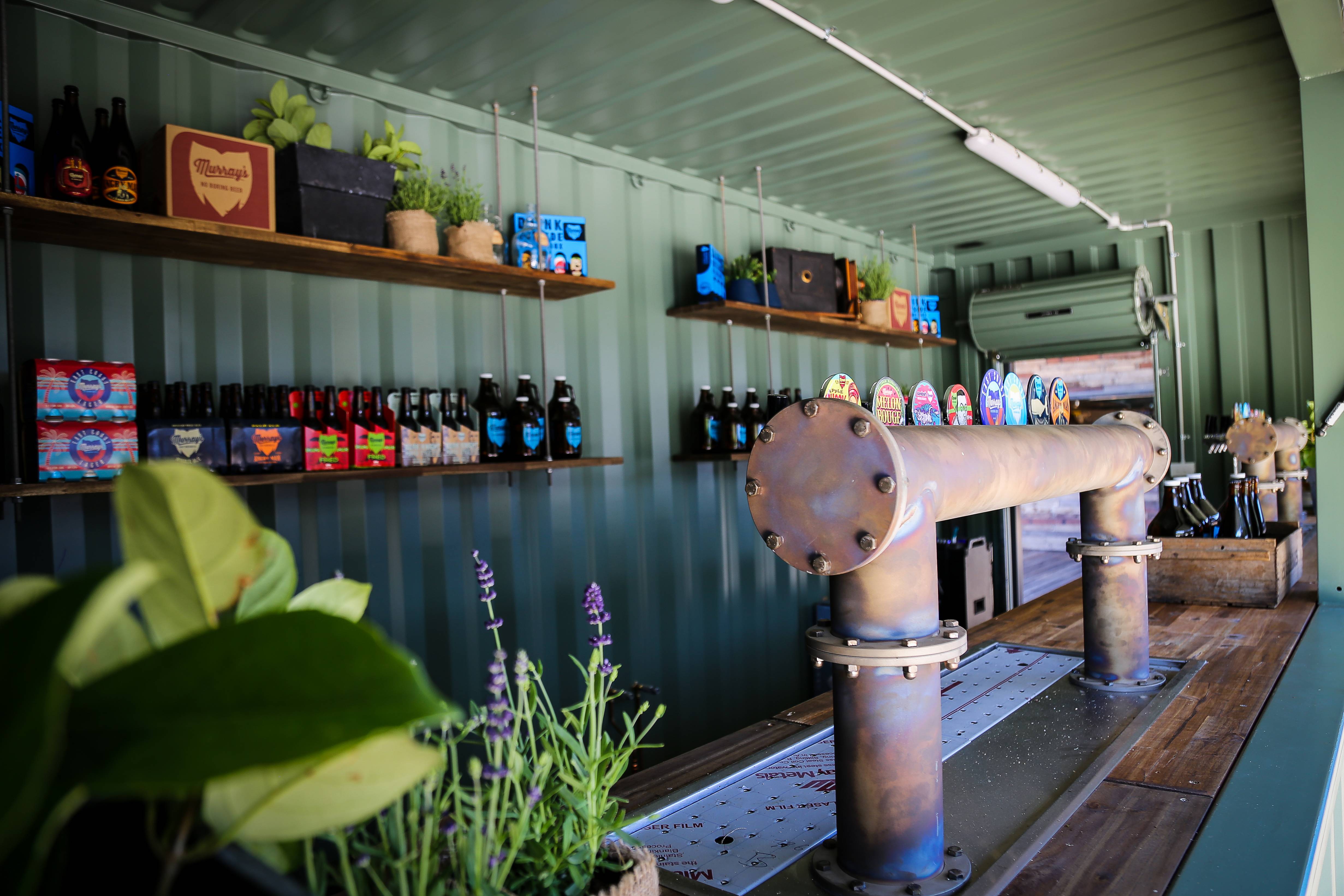 Fourth of July Weekend at Murray's Brewery :: Port Stephens