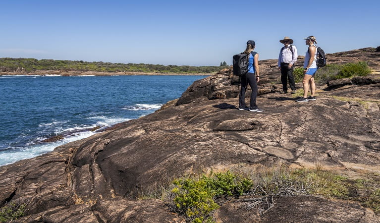 Ocean Rockpool Nature Tour - Fishermans Bay :: Port Stephens