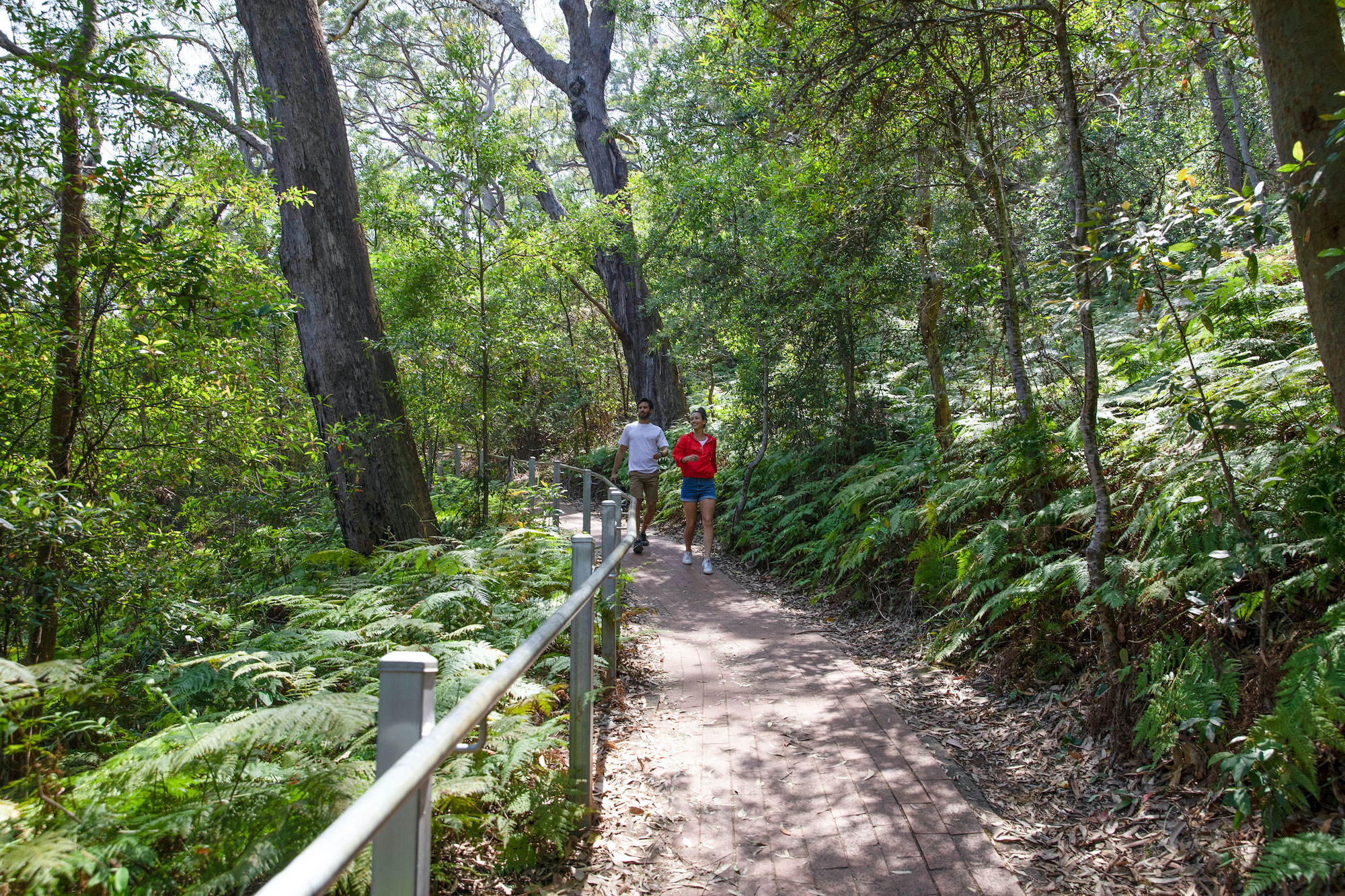 Hike and Bike Trails :: Port Stephens