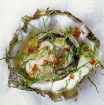 I’ll take a dozen oysters thank you :: Port Stephens